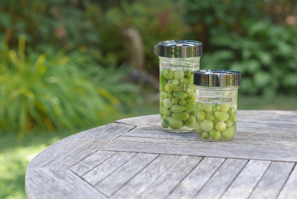 Mini tomates lactofermentées : des vertes et des pas mûres en saumure ...